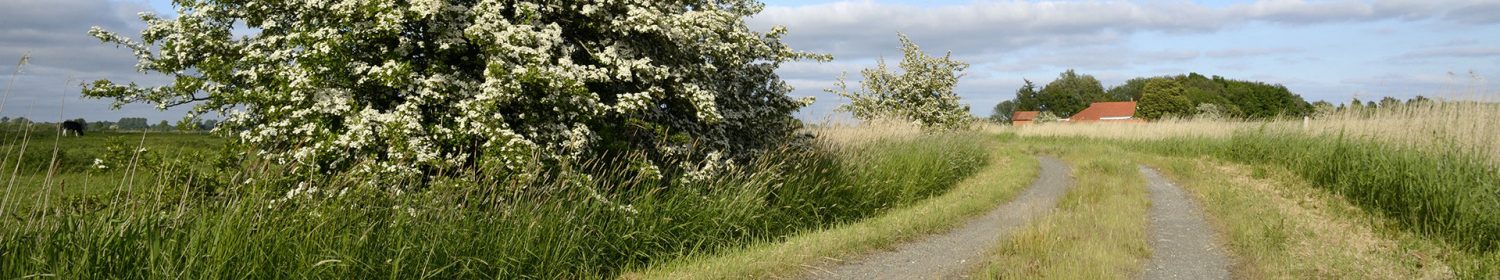 Wirtschaftsförderungsverein Sande e.V. - mitten in Friesland!